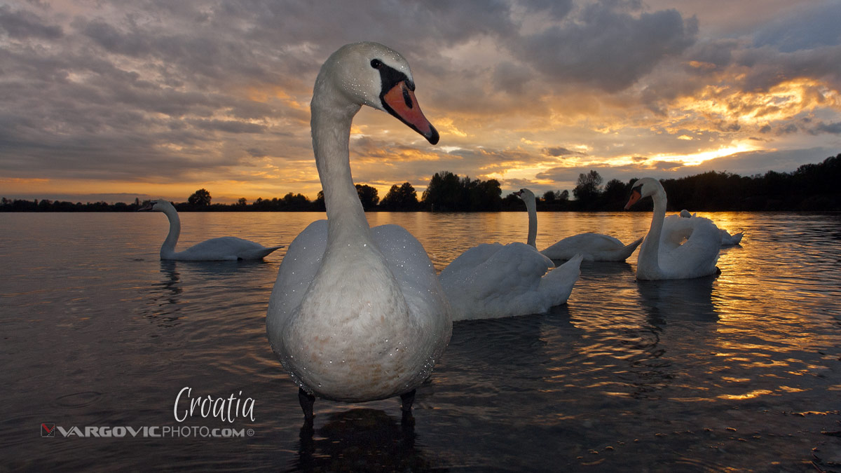 VargovicPhoto | Fine Art Photography