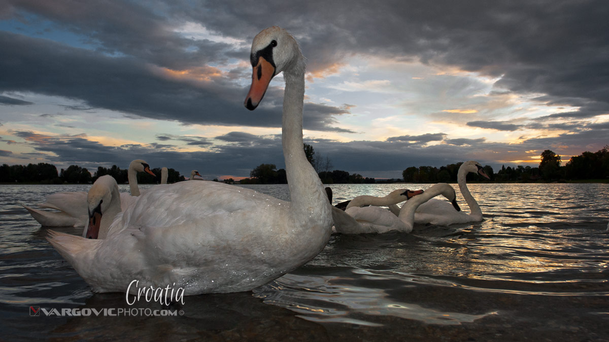 VargovicPhoto | Fine Art Photography