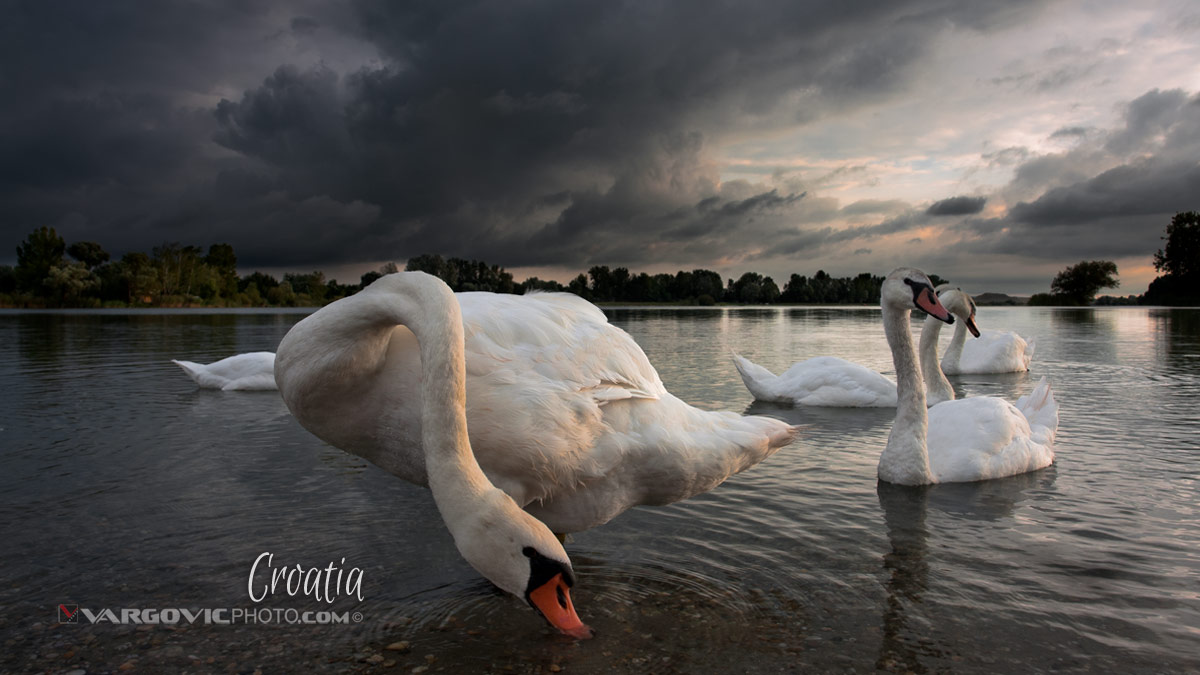 VargovicPhoto | Fine Art Photography