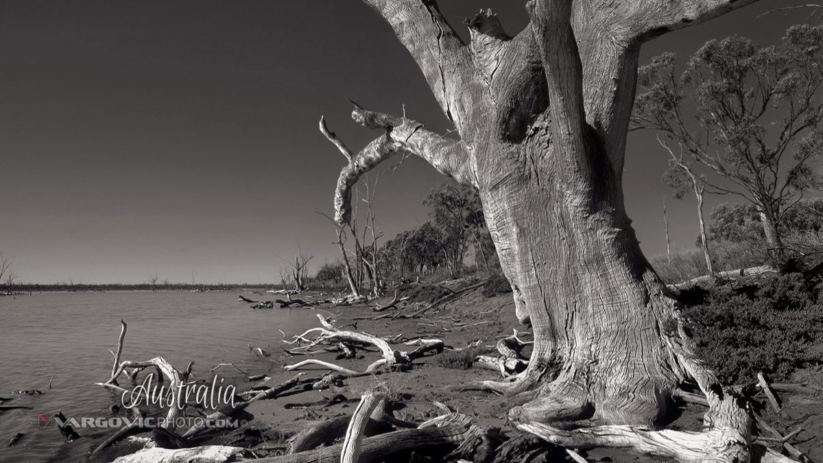 VargovicPhoto | Fine Art Photography