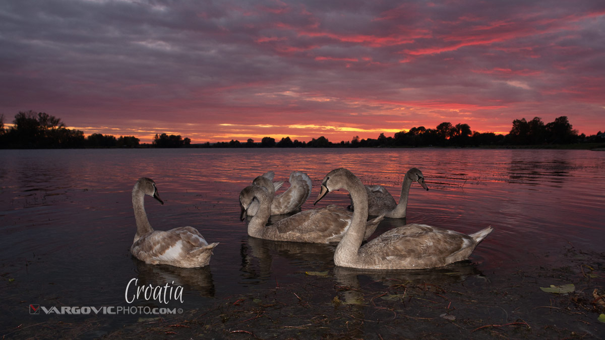 VargovicPhoto | Fine Art Photography