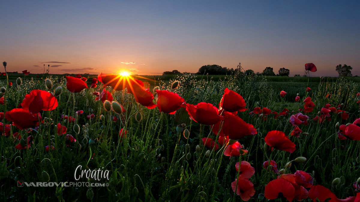 VargovicPhoto | Fine Art Photography