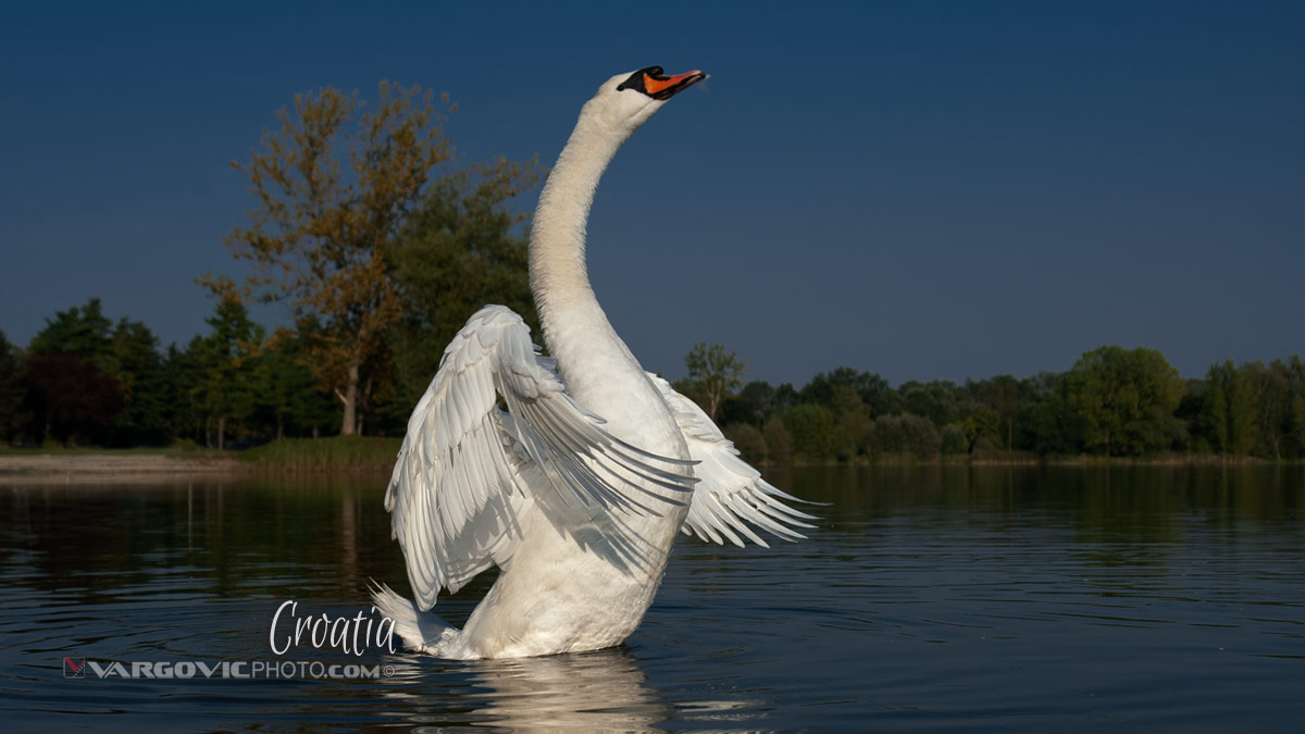 VargovicPhoto | Fine Art Photography