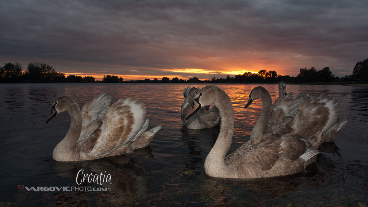 VargovicPhoto | Fine Art Photography