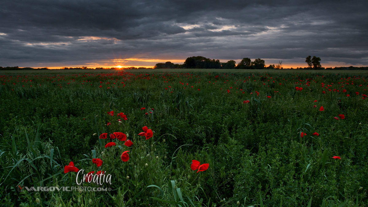 VargovicPhoto | Fine Art Photography